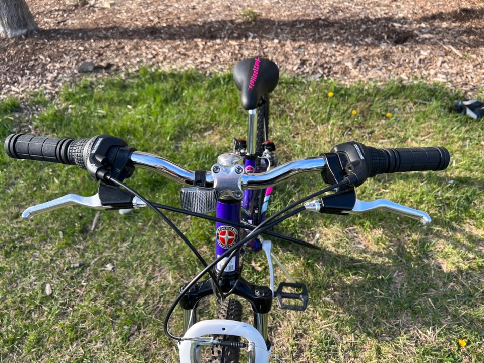 SCHWINN Ranger 24" Girl's Outdoor Mountain Bike Sports Ride - Purple | eBay