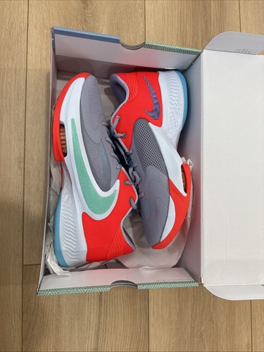 Nike Zoom Freak 4 Indigo Haze/Space Purple (DJ6149 500) Mens 12.5 | eBay