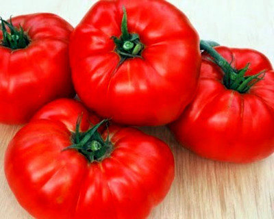 1/4 oz Tomato Seeds, Beefsteak, Heirloom Non-Gmo Tomatoes, Big Slicers ...