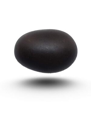 Shaligram Shila Stone Nepal Gandaki River Saligram Stones 2 Inch | eBay