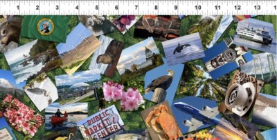 In The Beginning Washington State Fabric 1WA 2 Large Scenic Cotton ...