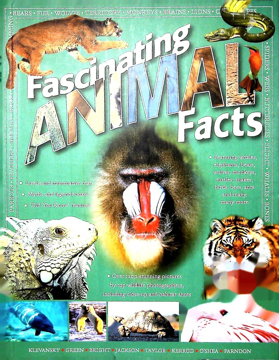 Encyclopedia Of Animal Facts And Pictures Pictures Of Animal Pictures