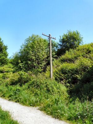 Photo 6x4 Old telegraph post Hyde/SJ9494 This telegraph post is one of ...