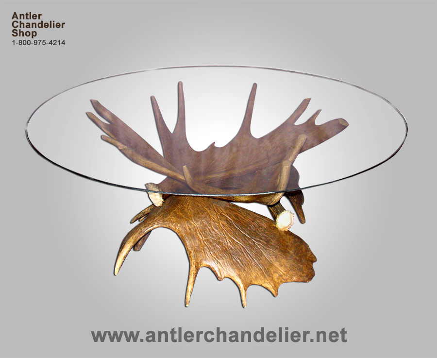 Moose Glass Coffee Tables Moose Antler Table For Coffee Etsy