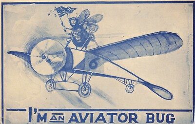 I'm an Aviator Bug - airplane - aviation - US Flag - Early Postcard | eBay