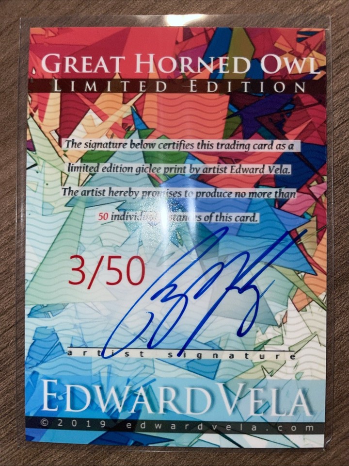 GREAT HORNED OWL (#1) Sketch Card Limited 3/50 Edward Vela Hand Signed ...