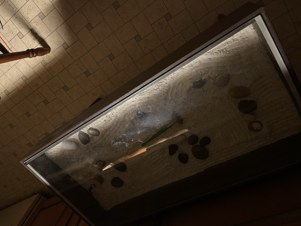 Shadow Box End Table Zen Garden Terrarium Reptile Enclosure Plant ...