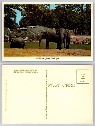 Elephants at Grant Park Zoo Atlanta Georgia GA Postcard | eBay.de