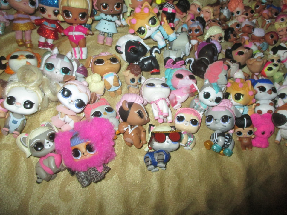 Massive Lot LOL Surprise Dolls Lil Sisters Pets Clothing Accessories ...