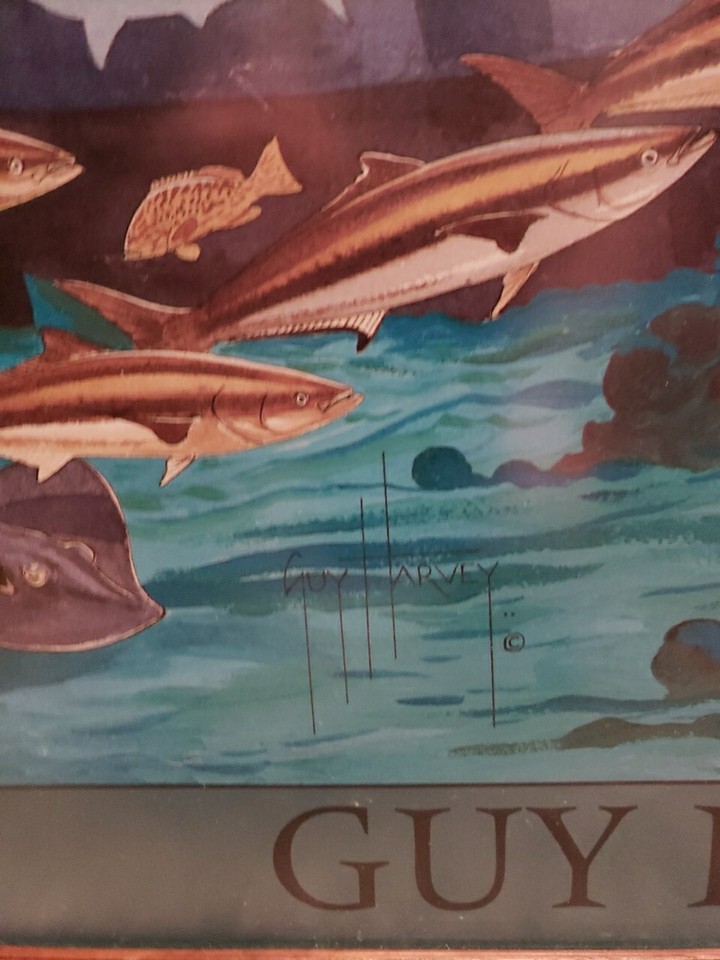 Guy Harvey Print “REEF” | eBay