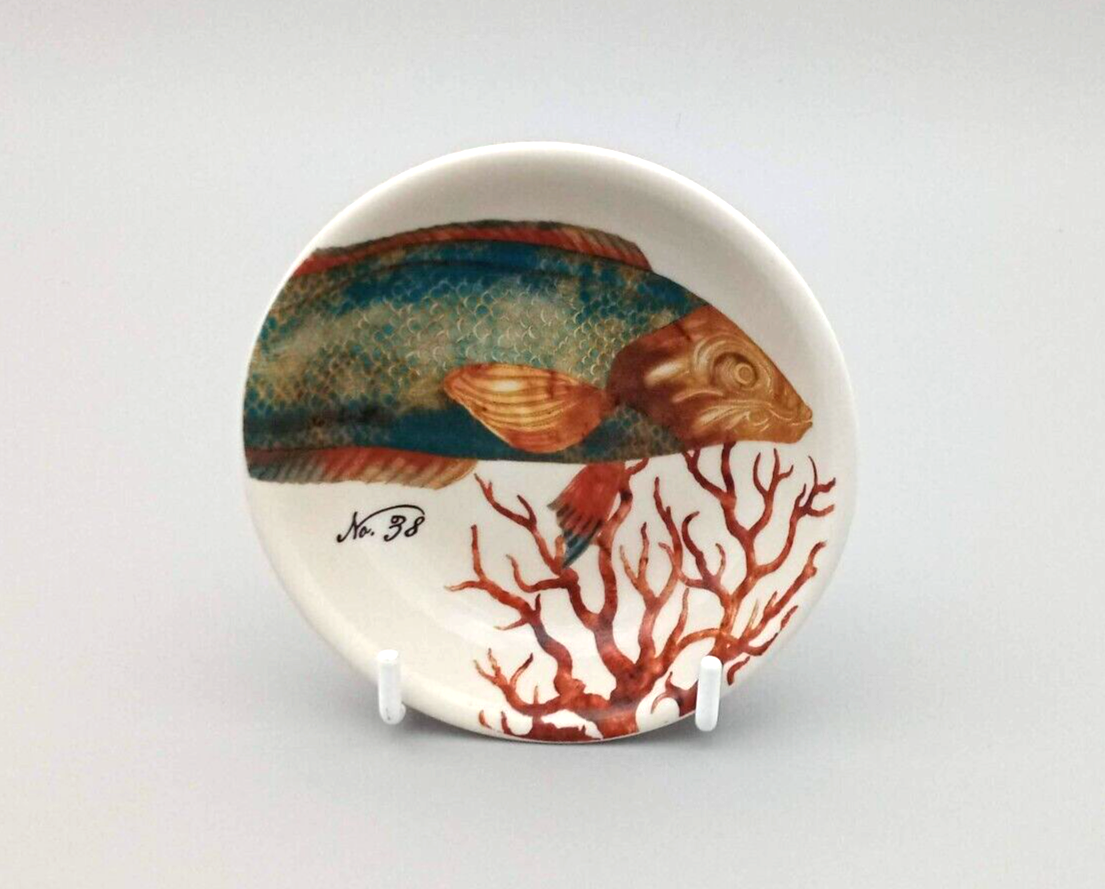 Tim Fish Garden Design Magazine