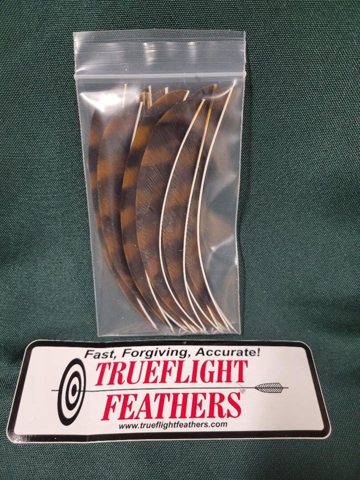 Trueflight Feathers 5 inch Parabolic Right Wing Brown Barred Dozen pack ...