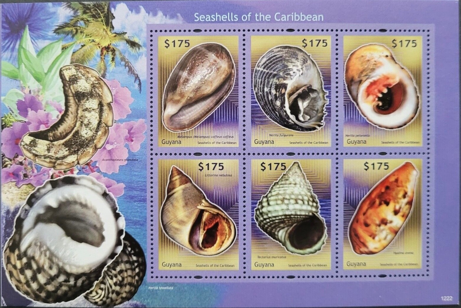 Guyana #SGMS6798 MNH M/S 2012 Caribbean Seashells Palm [4145] | eBay