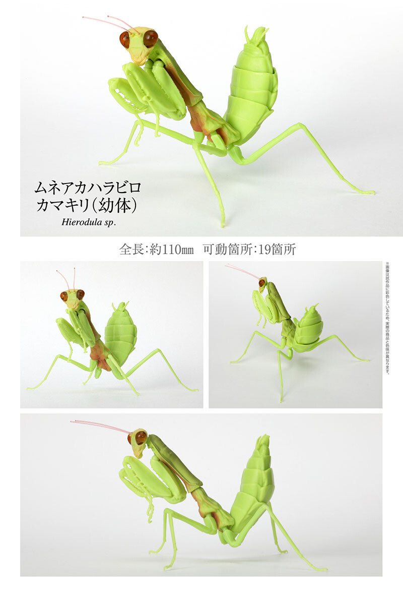 Bandai The Diversity of Life on Earth Mantis Figure Vol 4 Giant Mantis ...