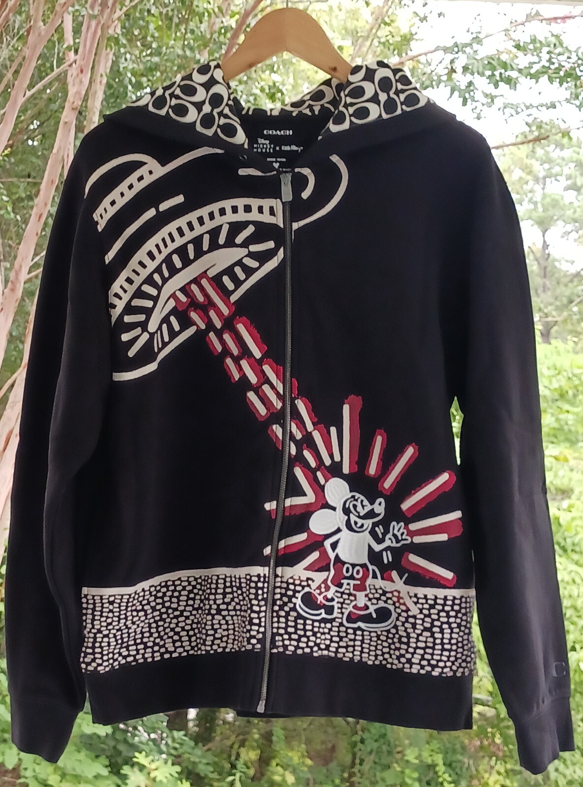 Coach x Keith Haring x Disney Mickey Mouse Zip Up Hoo… - Gem