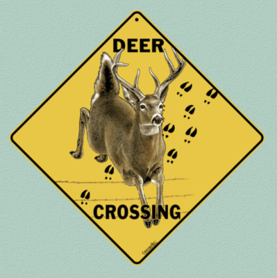 Deer Crossing, Caution Yellow, Crosswalks Aluminum Crossing Sign 12"x12 ...