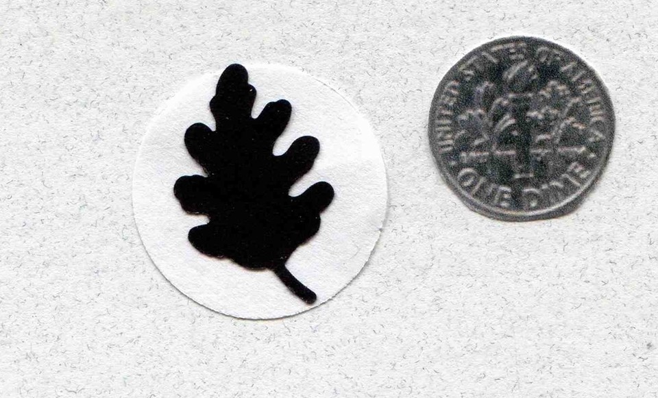 Medium Size Leaf Paper Punches Diff. Shapes To Pick From Scrapbook-Card ...