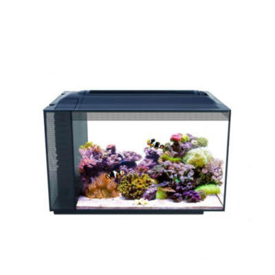 Fluval SEA Evo 52 Litre Marine Aquarium Fish Tank Set 15561105316 | eBay UK