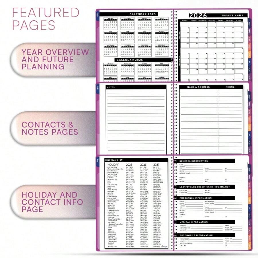 2025 Daily Planner 6.5x8.5" - Weekly/Monthly, 30-Min Slots, Tabbed ...