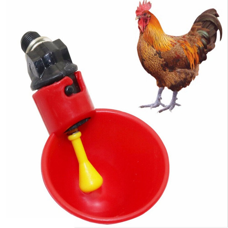 6x Automatic Cups Water Feeder Drinker Chicken Waterer Poultry Chook ...