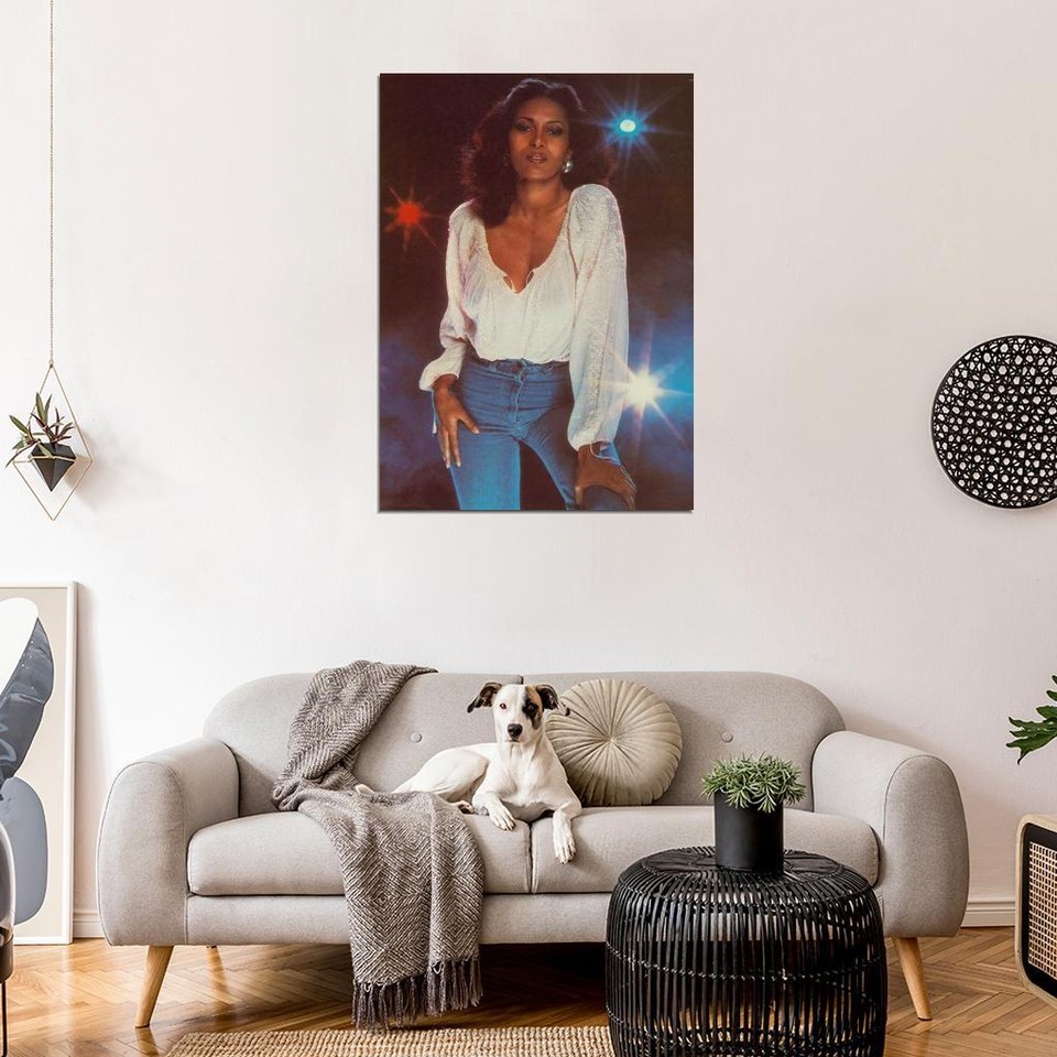 67768 Pam Grier Movie Pam Grier Wall Decor Print Poster | eBay