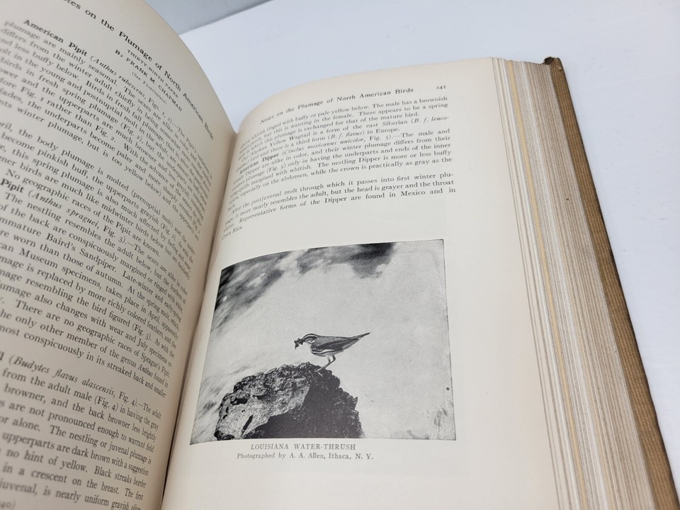 1916 Bound Bird Lore Volume 18 ex Library Book Frank Chapman | eBay