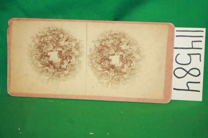 Ludwig, Frank Stereoptic View by Frank Ludwig | eBay