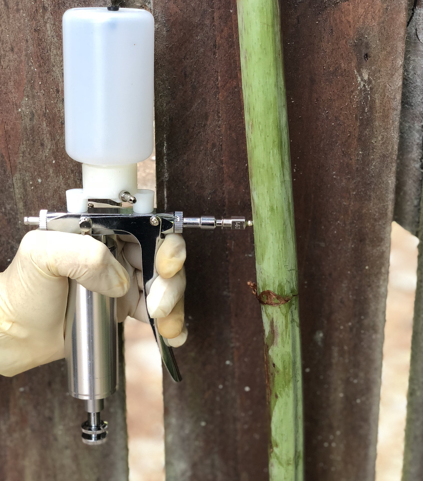 Professional 2024 Japanese Knotweed Injector Syringe Killer with 9 ...