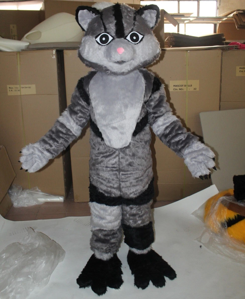 Cat In Costume