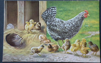 48278 AK Rooster Hen With Chicks In Front Of Nest Meadow Signed August ...