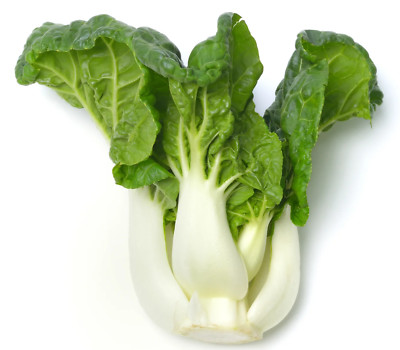 Pak Choi Canton White Stem Chinese Cabbage Seeds | Fast Growing ...