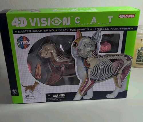 4D Vision Orange Cat Anatomy Model Educational STEM 28 Detachable PCs ...
