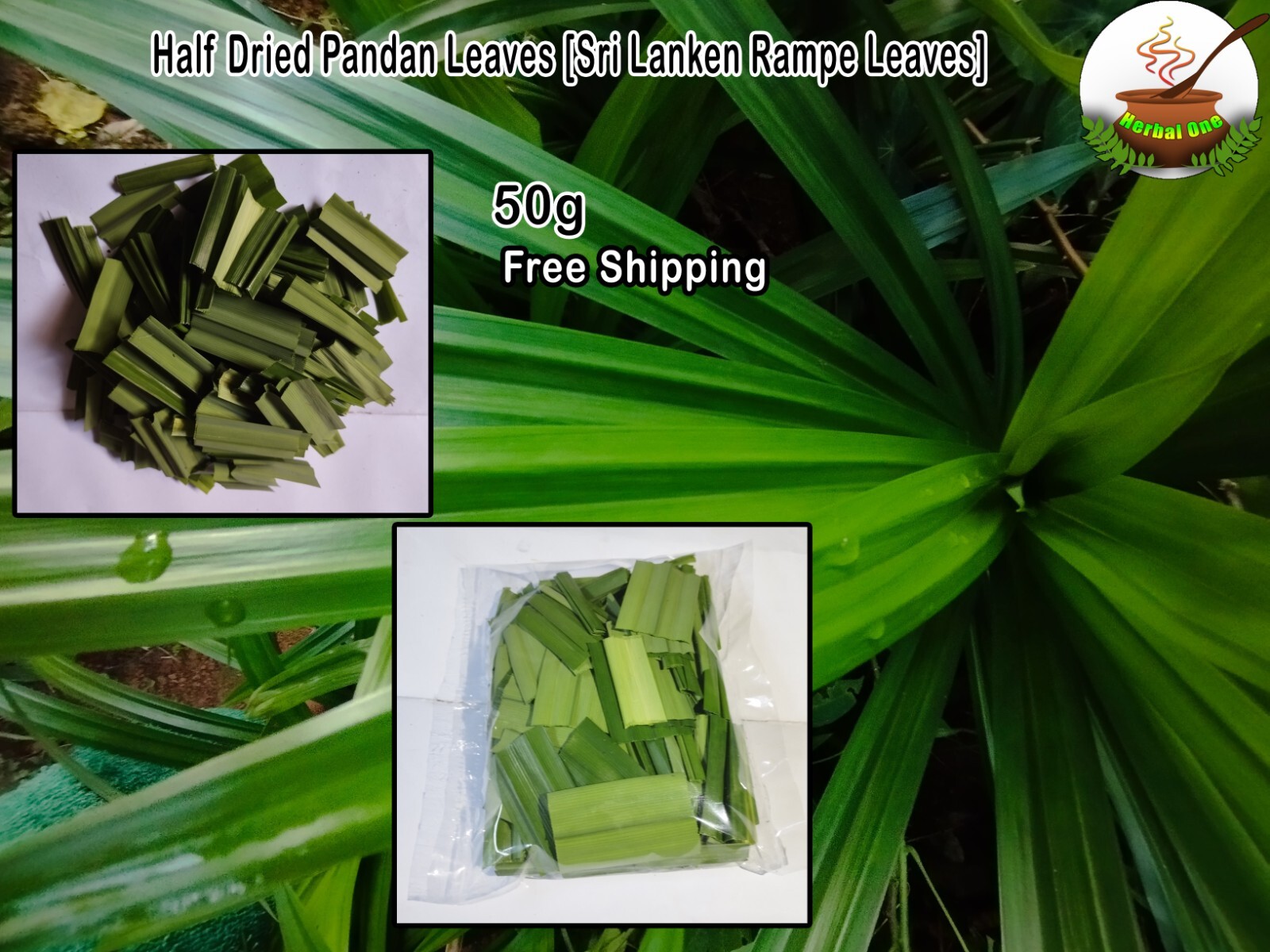 Half Dried Pandan Leaves Sri Lanken Rampe Leaves Spice Natural Pure 50g ...