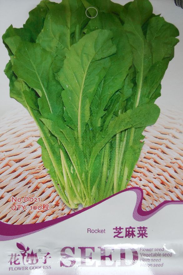 100 Seeds Rocket Vegetable Seeds E134, Garden Vegetable Seeds | eBay