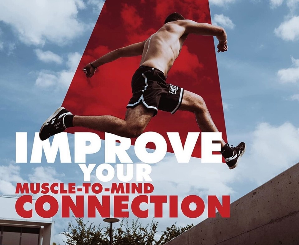 Alpha Horse for ED Men Male ED Supplement Pills Alpha Force BIGD 300 ...