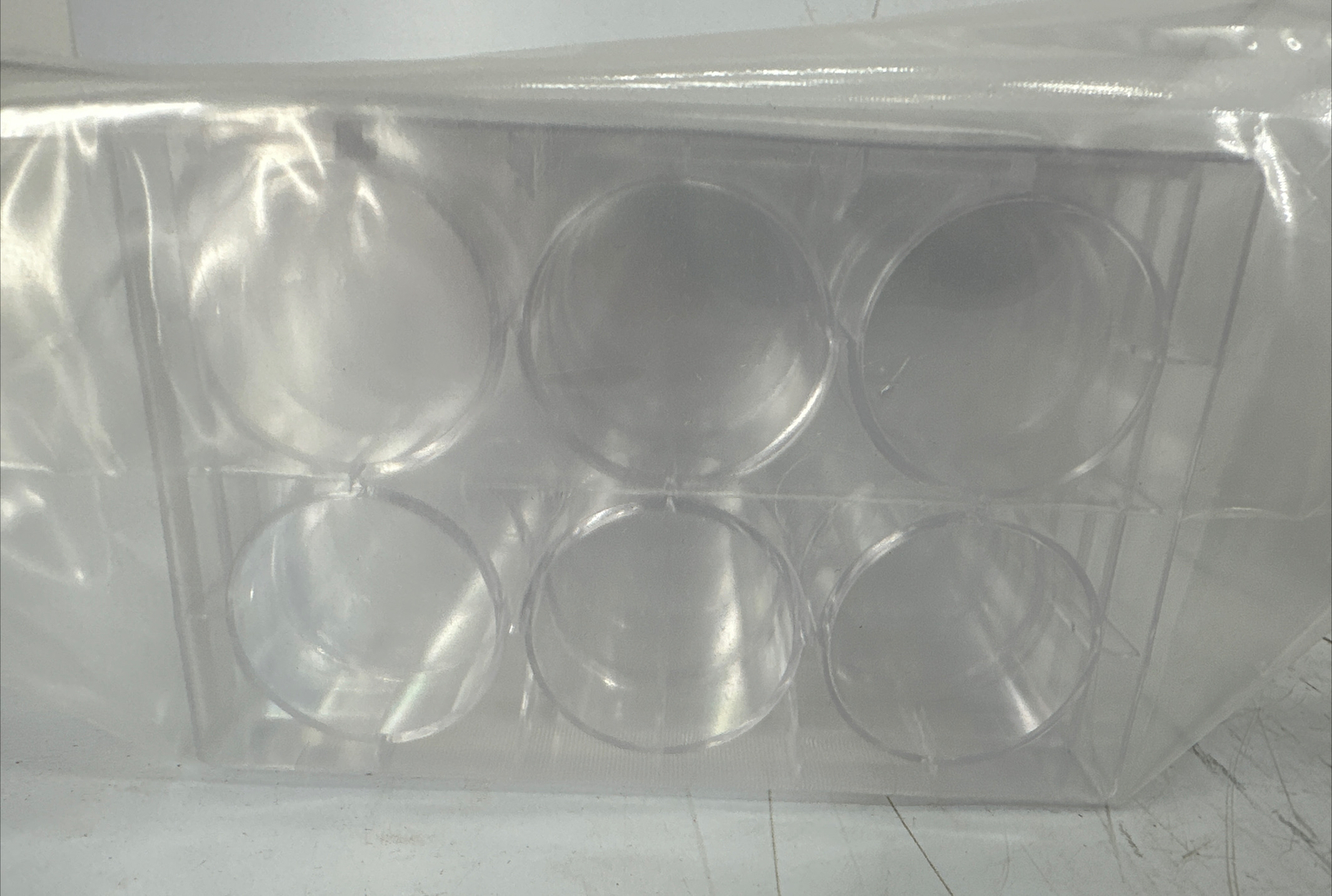 Qty 20 Costar 3335 Multiple Well 6-Well Plate w/ Lid Corning CellBind ...