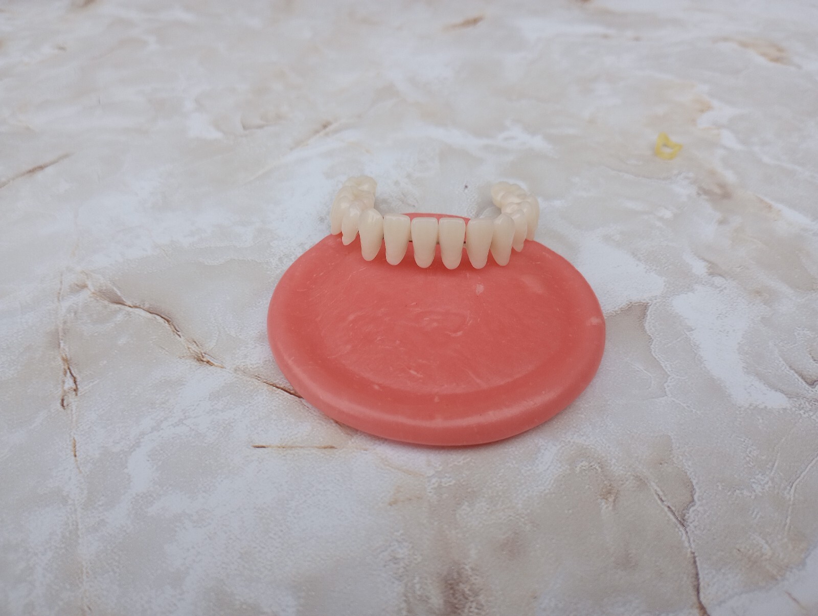 DIY Denture Kit Resin Wired Teeth Lower Only No Mold Pink Polymorph Gum ...