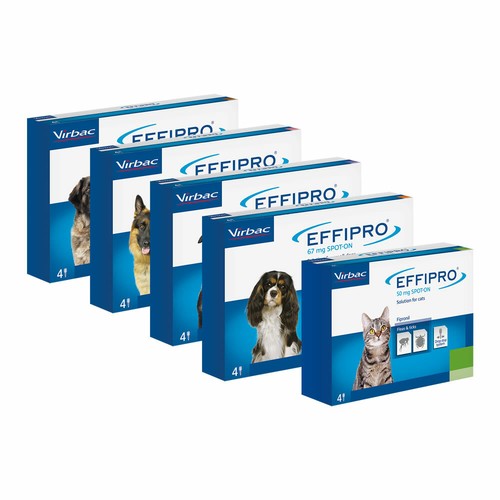 Spot On Flea Treatment AVM-GSL For Pets Cats & Dogs 4 Pipettes With ...