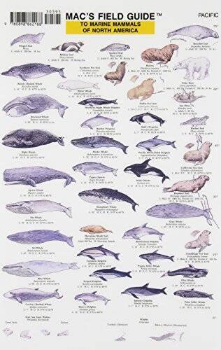 Mac's Guide to Marine Mammals of North America (Mac's Field Guides ...