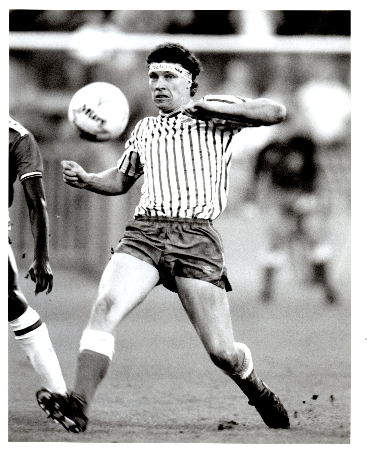 Original Press Photo Sheffield Wednesday Ian Cranson 1988/89 10x8 inch ...