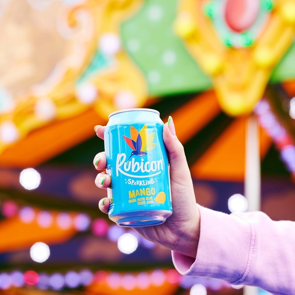 Rubicon 24 Pack Sparkling Mango Flavoured Fizzy Drink with Real Fruit ...