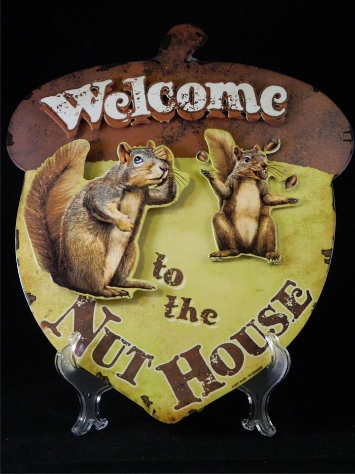 Welcome to Nut House Squirrel Acorn Shape Metal Wall Art 3D Sign Made ...