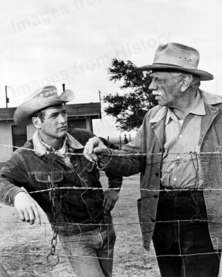 8x10 Print Paul Newman Melvyn Douglas HUD Bannon 1962 #5502128 | eBay