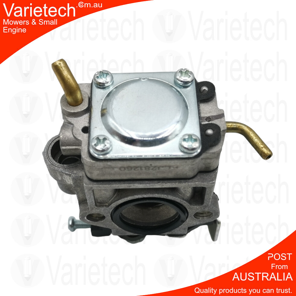 Brand New Genuine Ruixing Carburetor fits Homelite HLT25CNB HLT25CNC ...