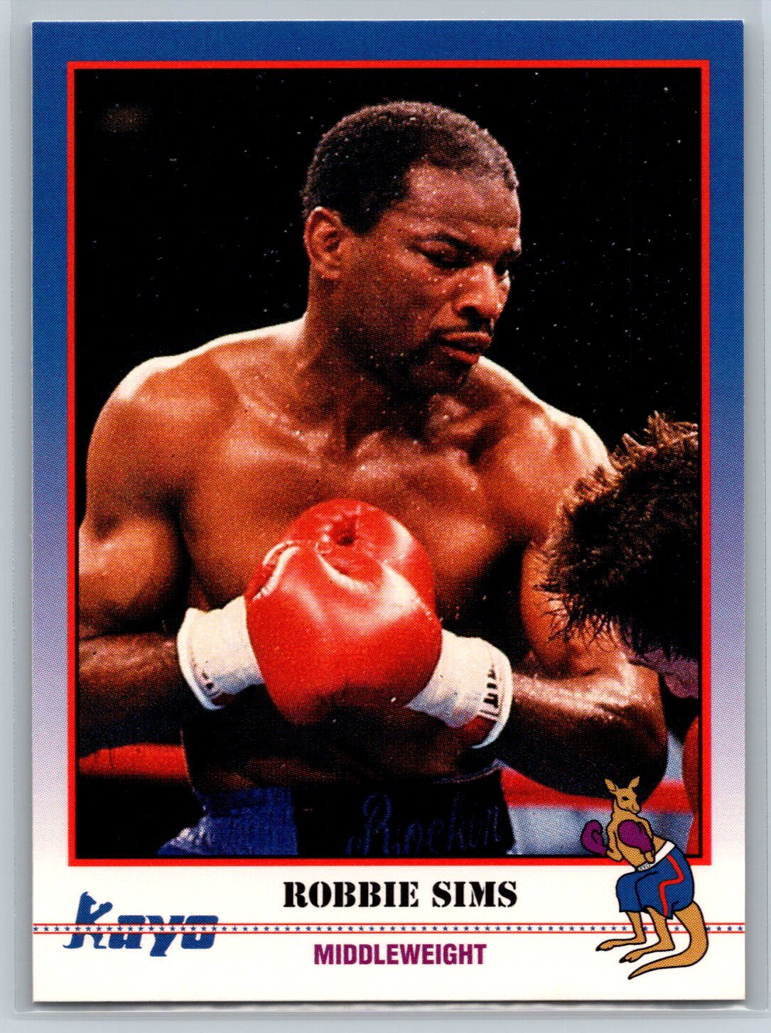 1991 Kayo Boxing Robbie Sims #227 | eBay