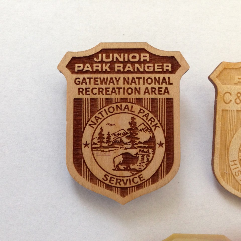 Junior Ranger Badge Park NHP NHS NPS NRA Wood Plastic Set Of 5 Rare USA ...