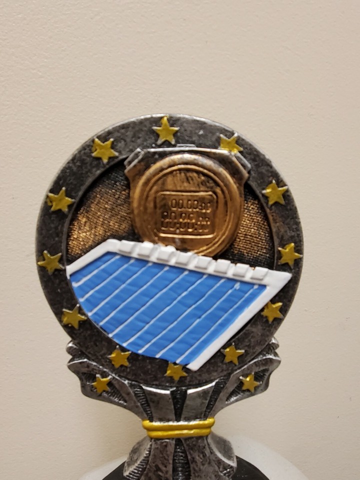 great swimming trophy award, about 6" High, w/ engraving, colorful, MVP ...