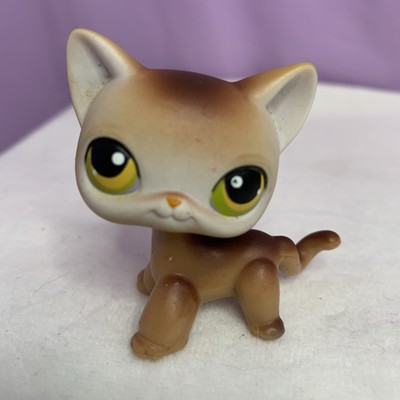 LPS Littlest Pet Shop #19 Brown and Tan Shorthair Cat Rare | eBay