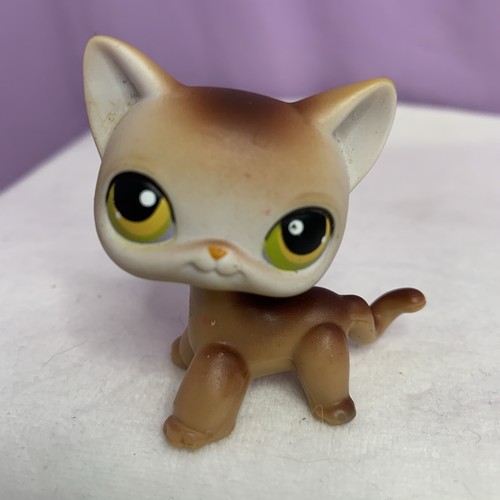 LPS Littlest Pet Shop #19 Brown and Tan Shorthair Cat Rare | eBay