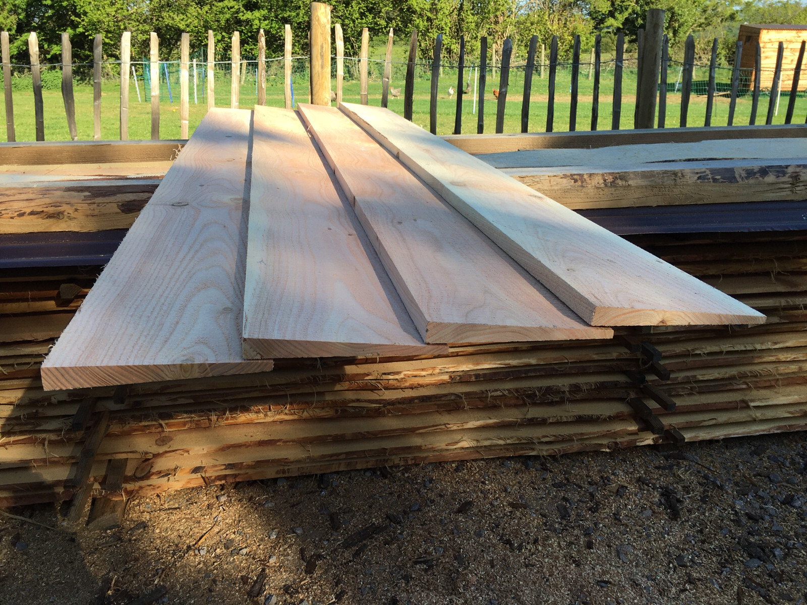 Larch or Douglas Fir Feather Edge boards 200mm | eBay UK